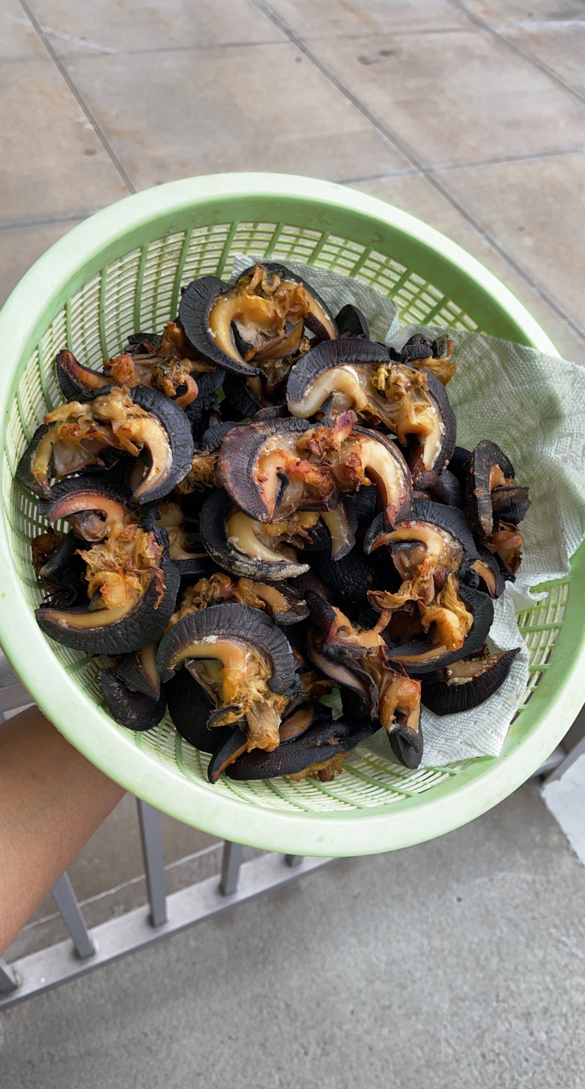 Oven dried snail (10 Pcs) – JSWAGZ BUSINESS